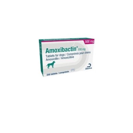 AMOXIBACTIN 500 MG 10 COMP