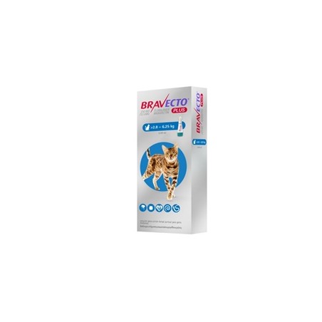 BRAVECTO PLUS GATO 250 MG (2,8-6,25 KG) 1 PIPETA