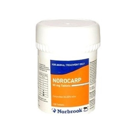 NOROCARP 100 mg 100 Comprimidos